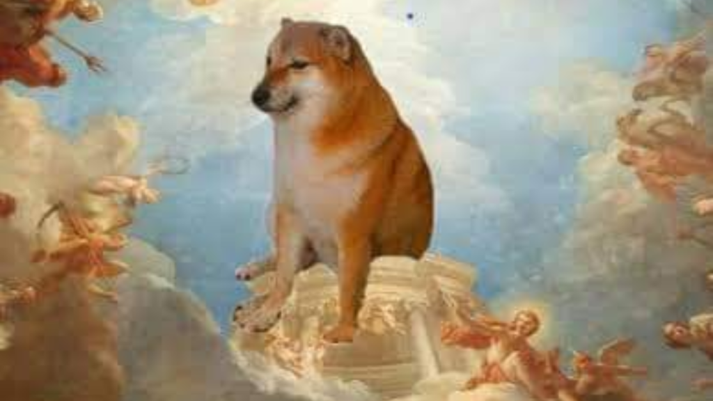 Muere Cheems el perrito viral de los memes – NV Noticias